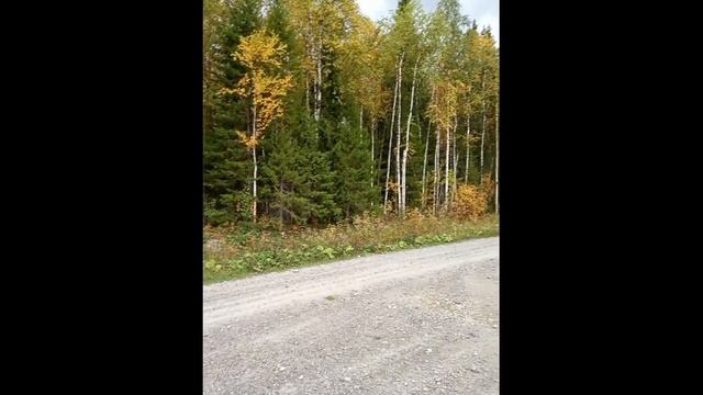 Красотишча Beauty