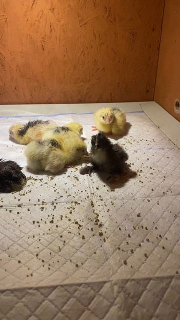 Ну здравствуй новая жизнь!!!