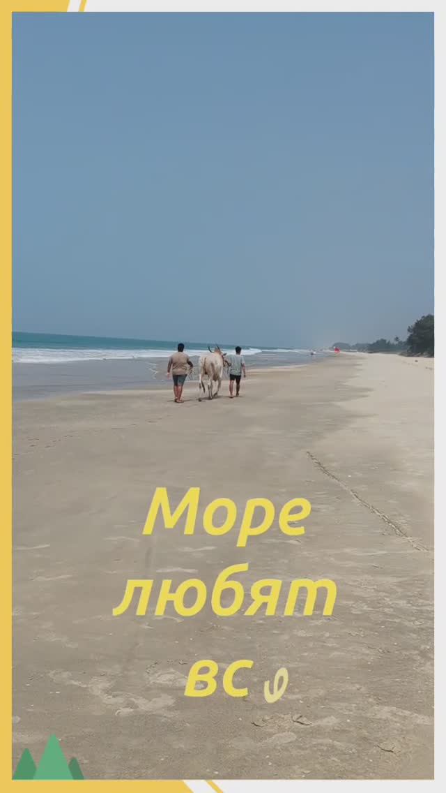 Индия ГОА 2025