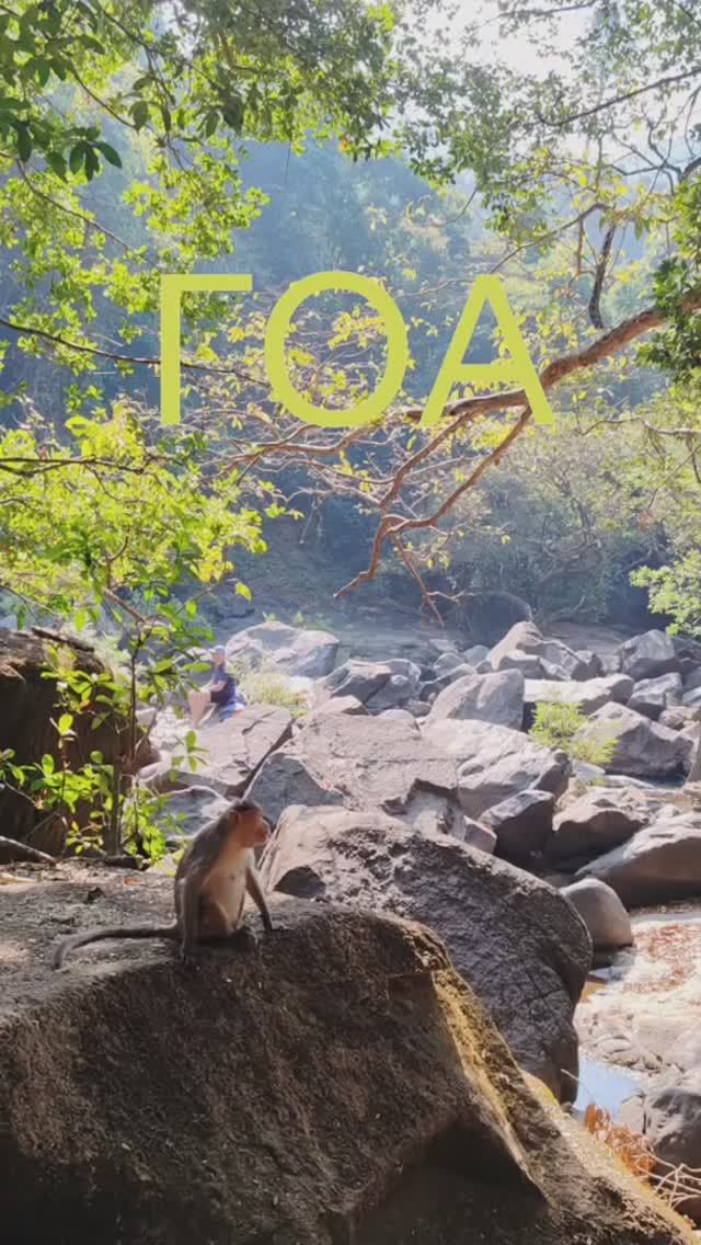 Гоа это райское место на земле