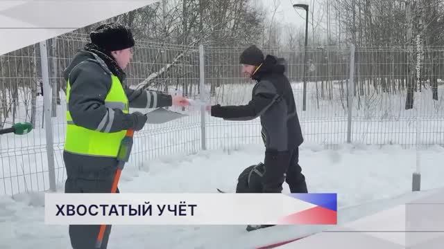 Новости "Волга 24" 20.01.2026 19:00