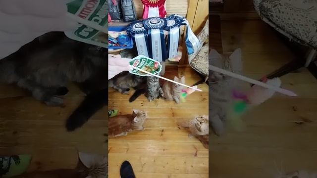 Всем привет! ✋ Наконец-то могу поделиться впечатлениями с прошедшей выставки (7–8.03.2026)