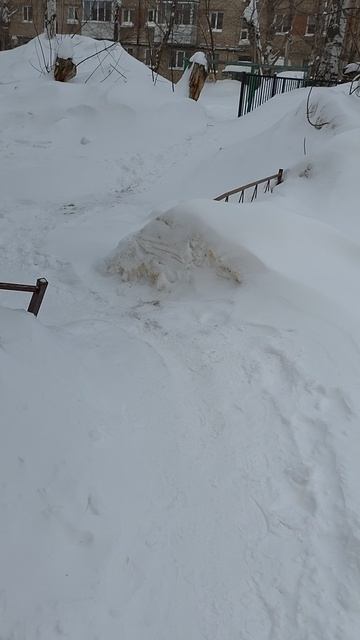 №1645 Двор Г. Звезда 73-Красноармейская 52 8 марта 2026 г., 18:08:23 VID_20260308_180721925