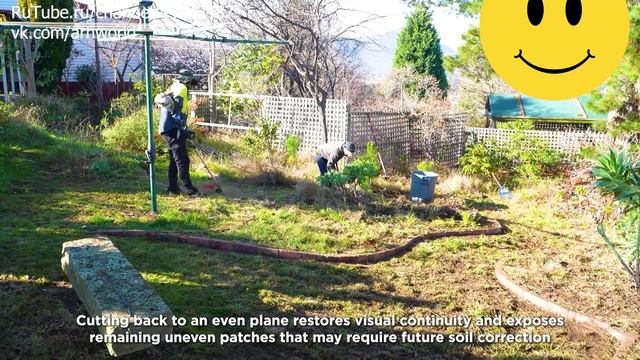 🌿 Двое мужчин превращают заросшую территорию в стильный ландшафтный сад за 9 лет