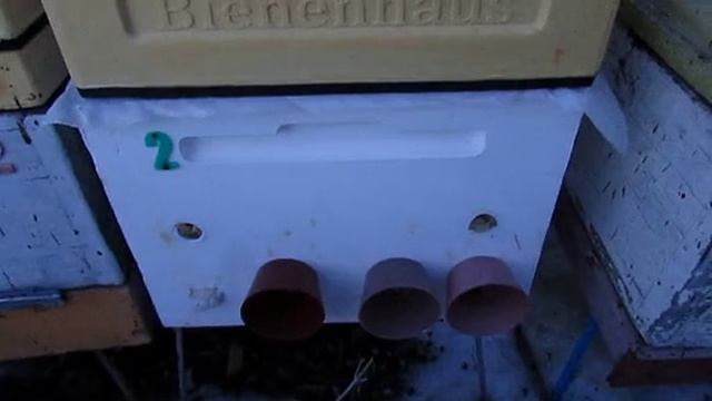 эконом версия улья ППС для зимовки пчел на воле ( видео из архива )