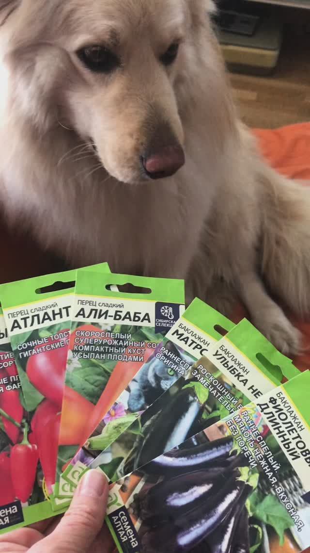 Ричику все равно❓