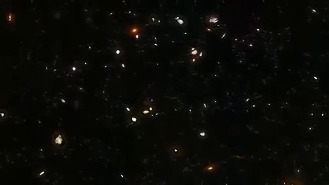 Сон о млечном молоке и котенке