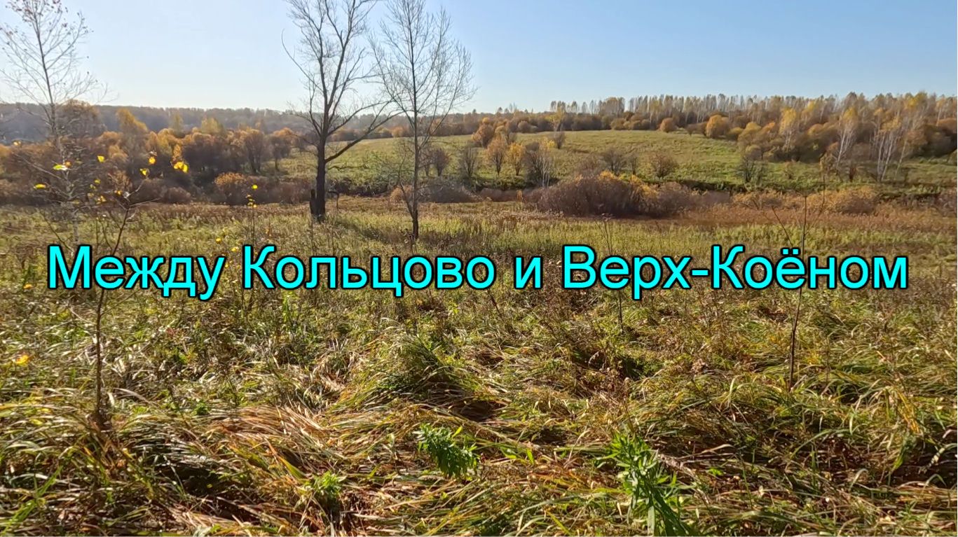 Между Кольцово и Верх-Коёном. Часть 1. Заброшенная деревня Ново-Троицк