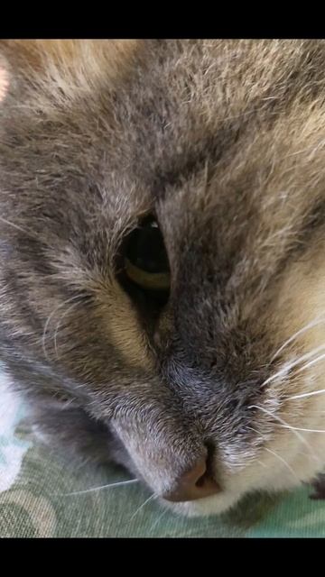 Дело житейское