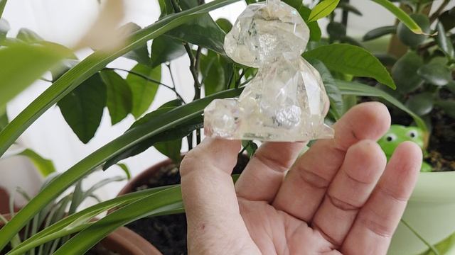 кристальный медведь