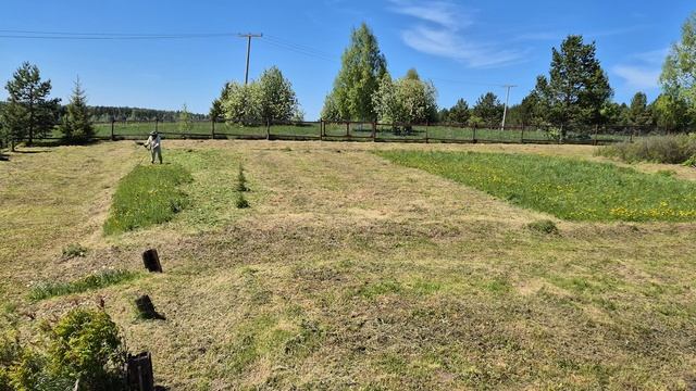 2025_05_25 Покос