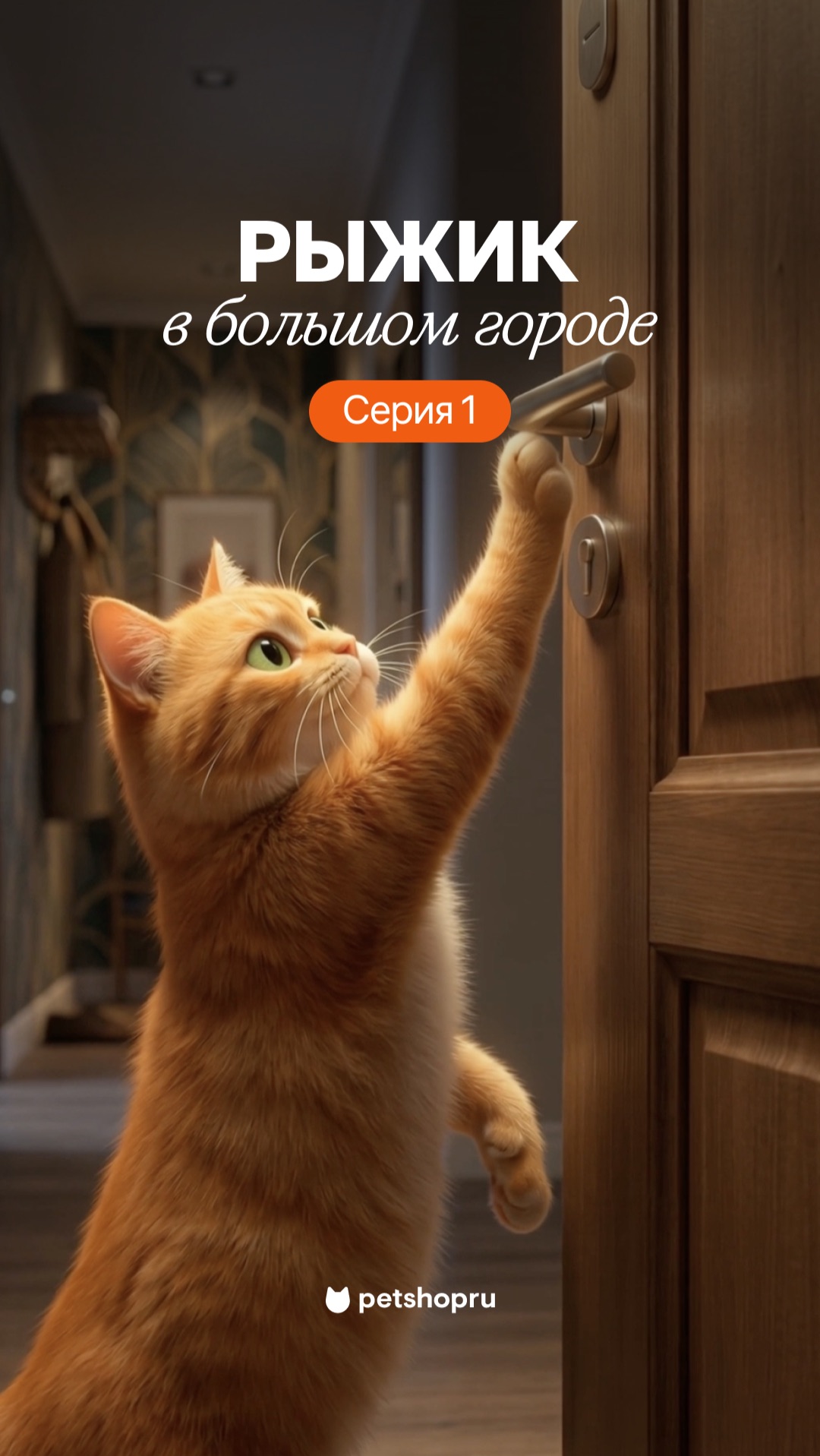 Рыжик в большом городе: часть 1. Мультфильм про кота от Petshop.ru 🐾