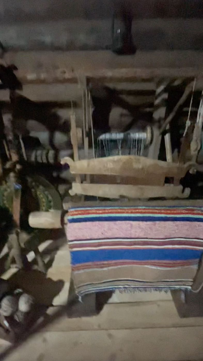 Уфтюга туры в Архангельскую область