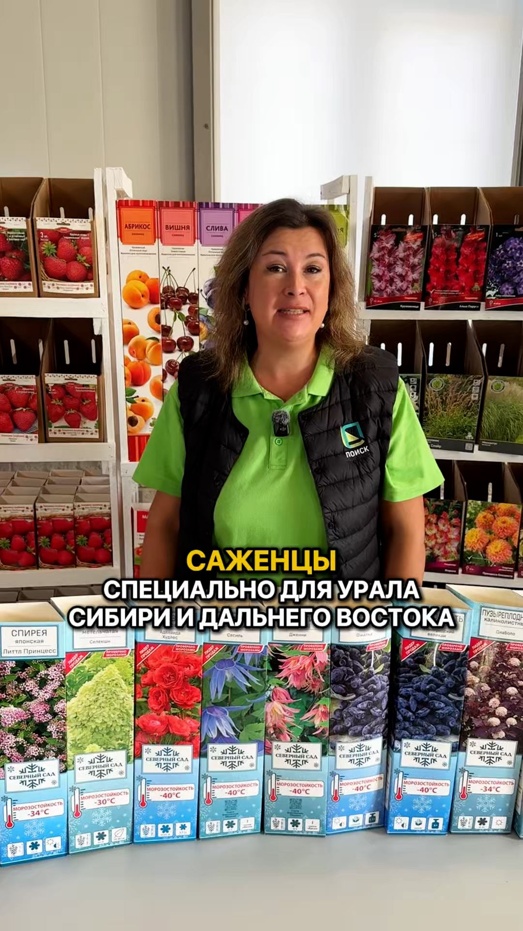 Морозостойкие саженцы для северных регионов!