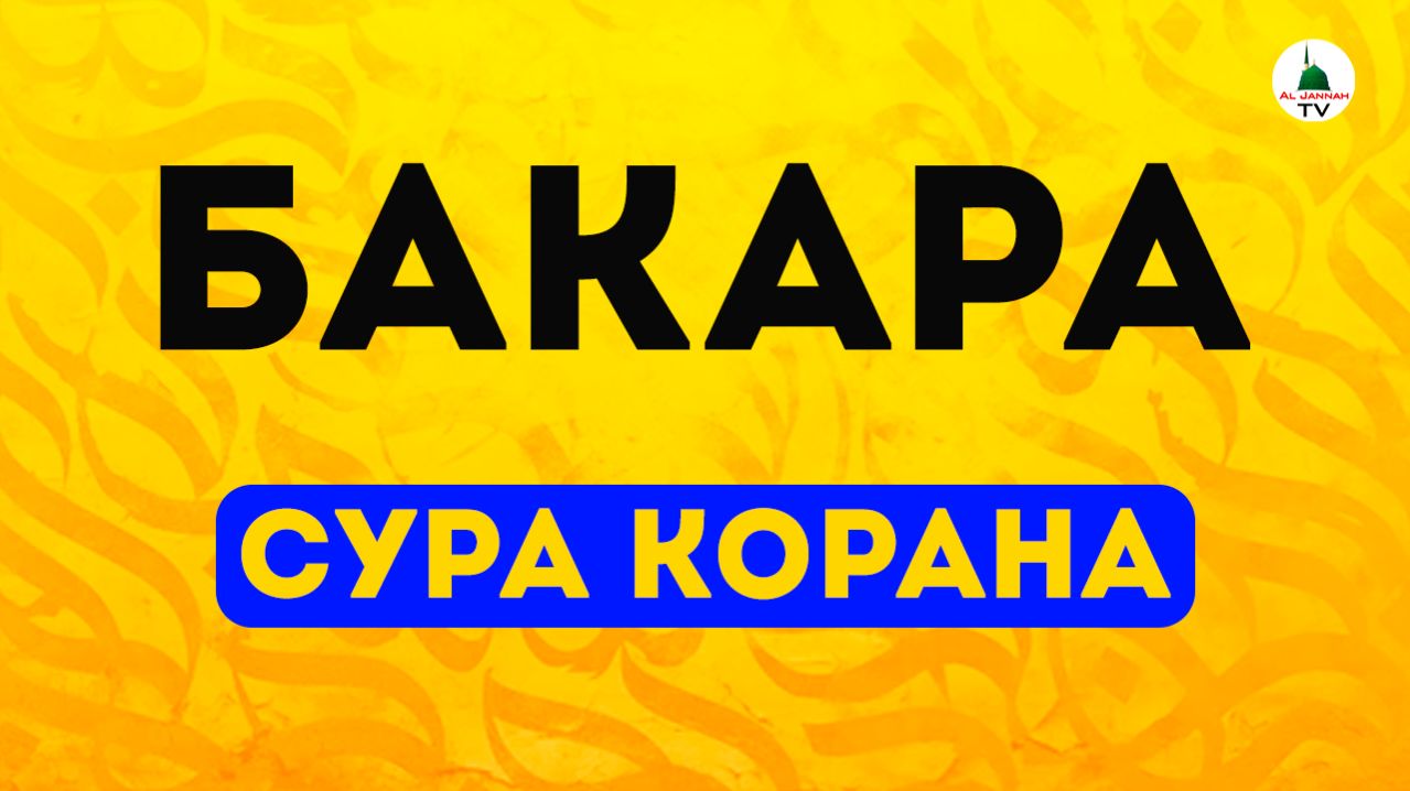 Коран. Сура Бакара. Слушать перед сном
