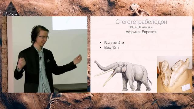 Ярослав Попов: Хоботные: эволюционная поступь гигантов