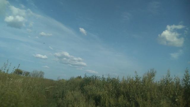 Опустевшая деревня Ольховка, Романовский район.