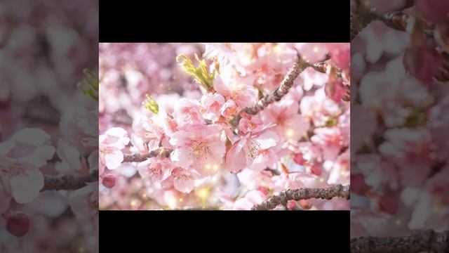 Импровизация Александры_9.03.2026