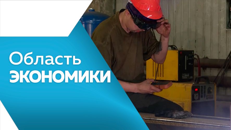 Область экономики №175