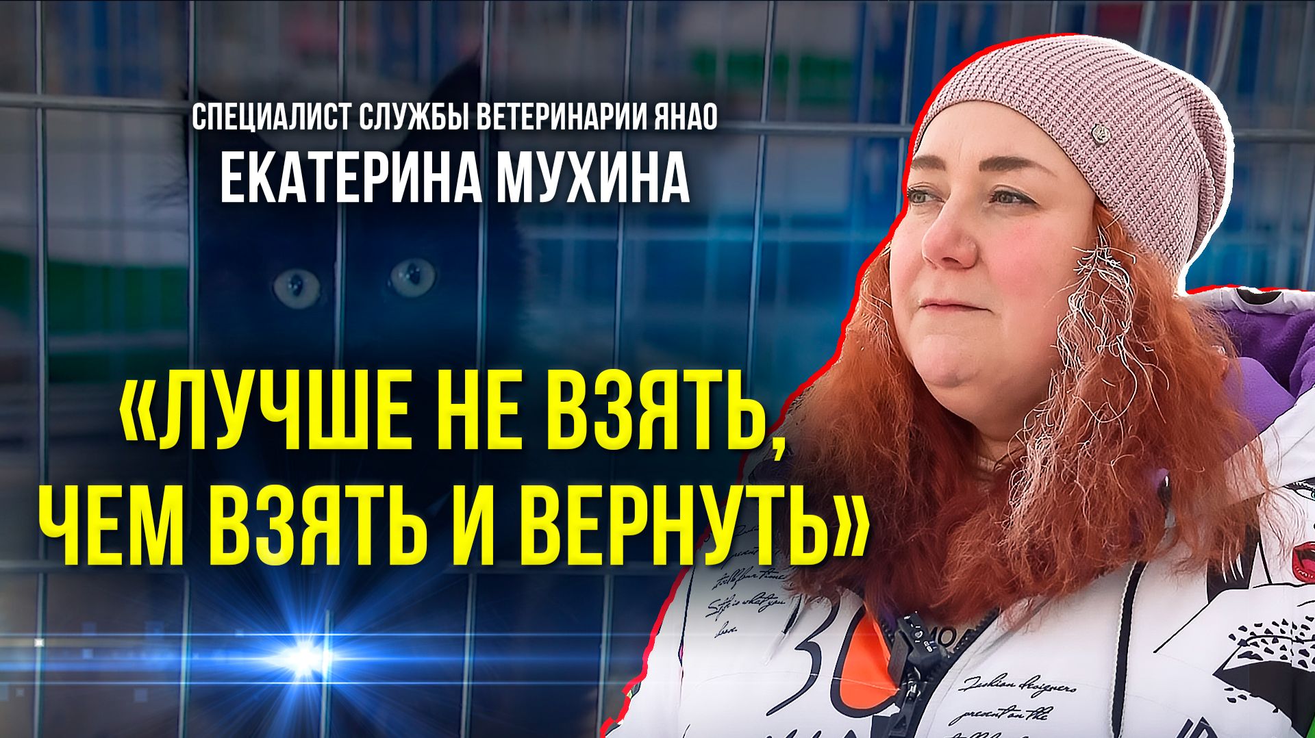 Чем заканчиваются дни открытых дверей в приютах для животных