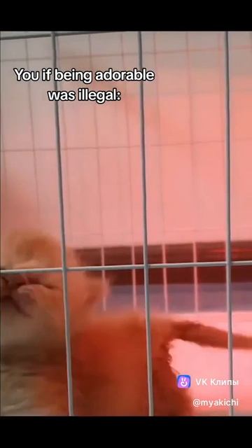 Ты будешь свободен.