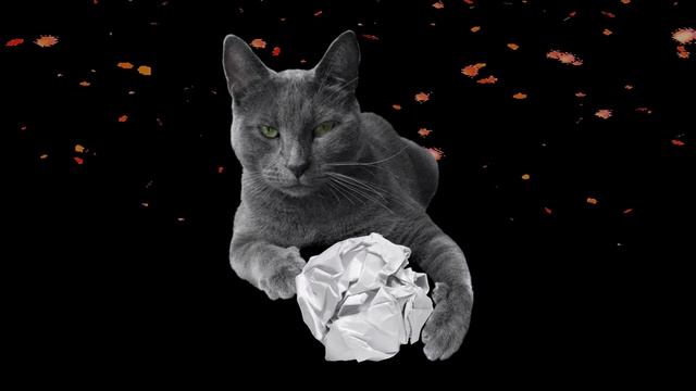 Бумага в комок. Звуки сминания бумаги