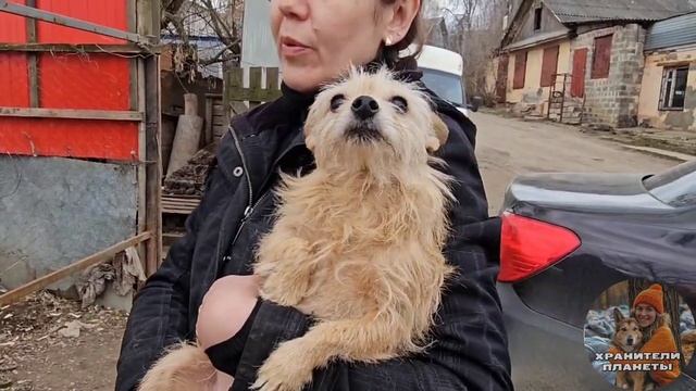 На неё ОБРУШИЛАСЬ КРЫША дома, но она НЕ ОСТАВИЛА ХВОСТАТЫХ ДРУЗЕЙ! История тёти Оли и её 25 хвостов.