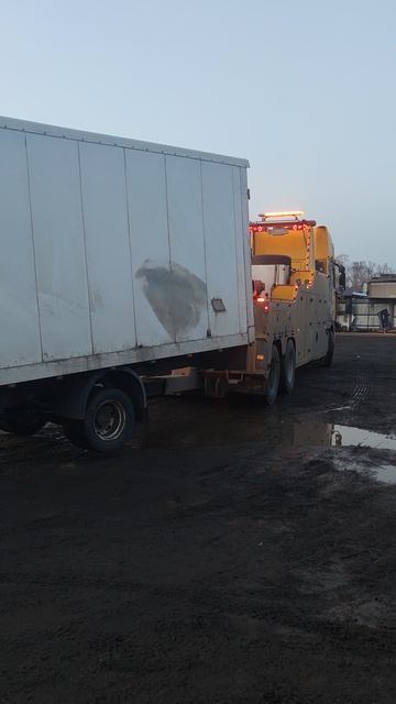 Iveco Daily заблокировало КПП на задней передаче. Доставили в сервис на эвакуаторе.