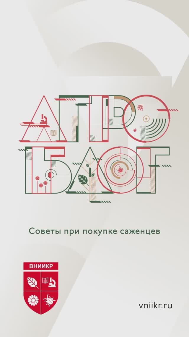 Как выбрать саженцы?