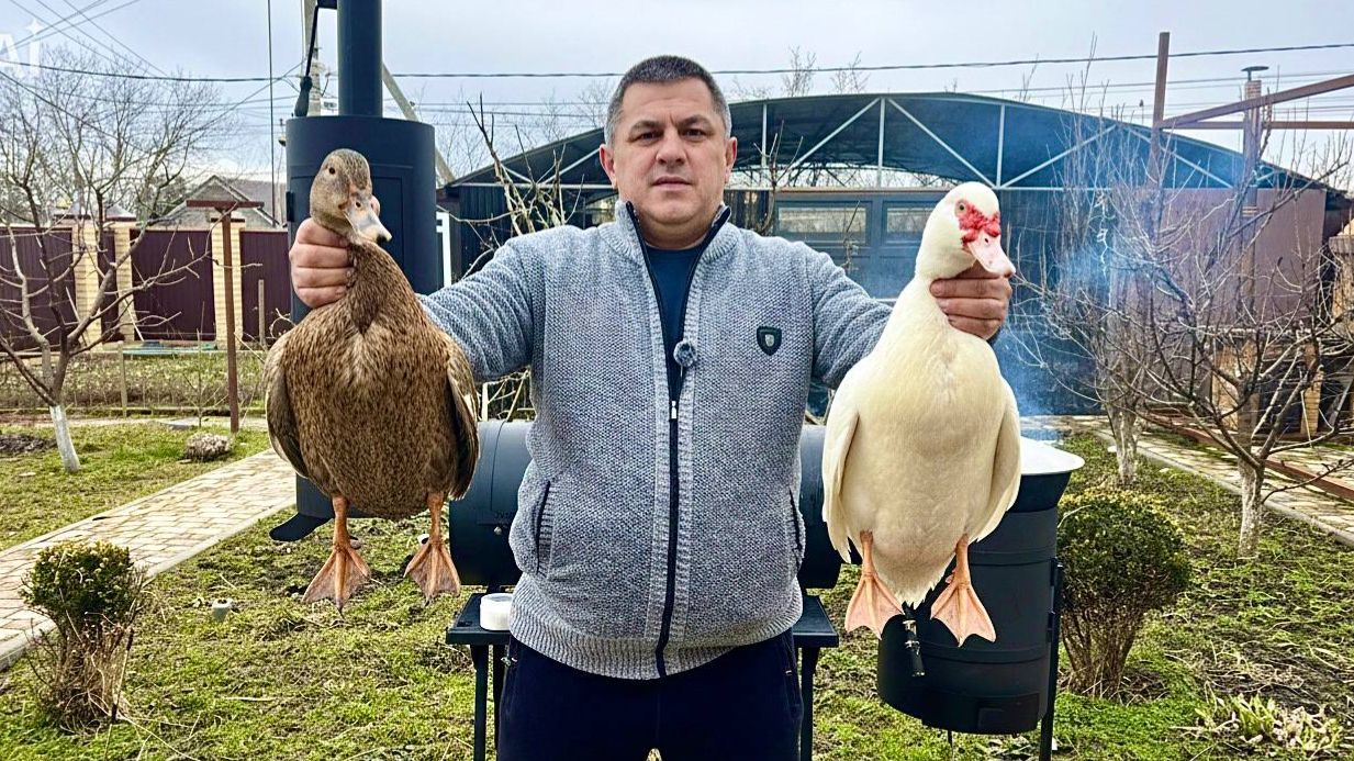 Утка жареная с картошкой - самый вкусный рецепт! Готовим вкусное блюдо: утка в казане