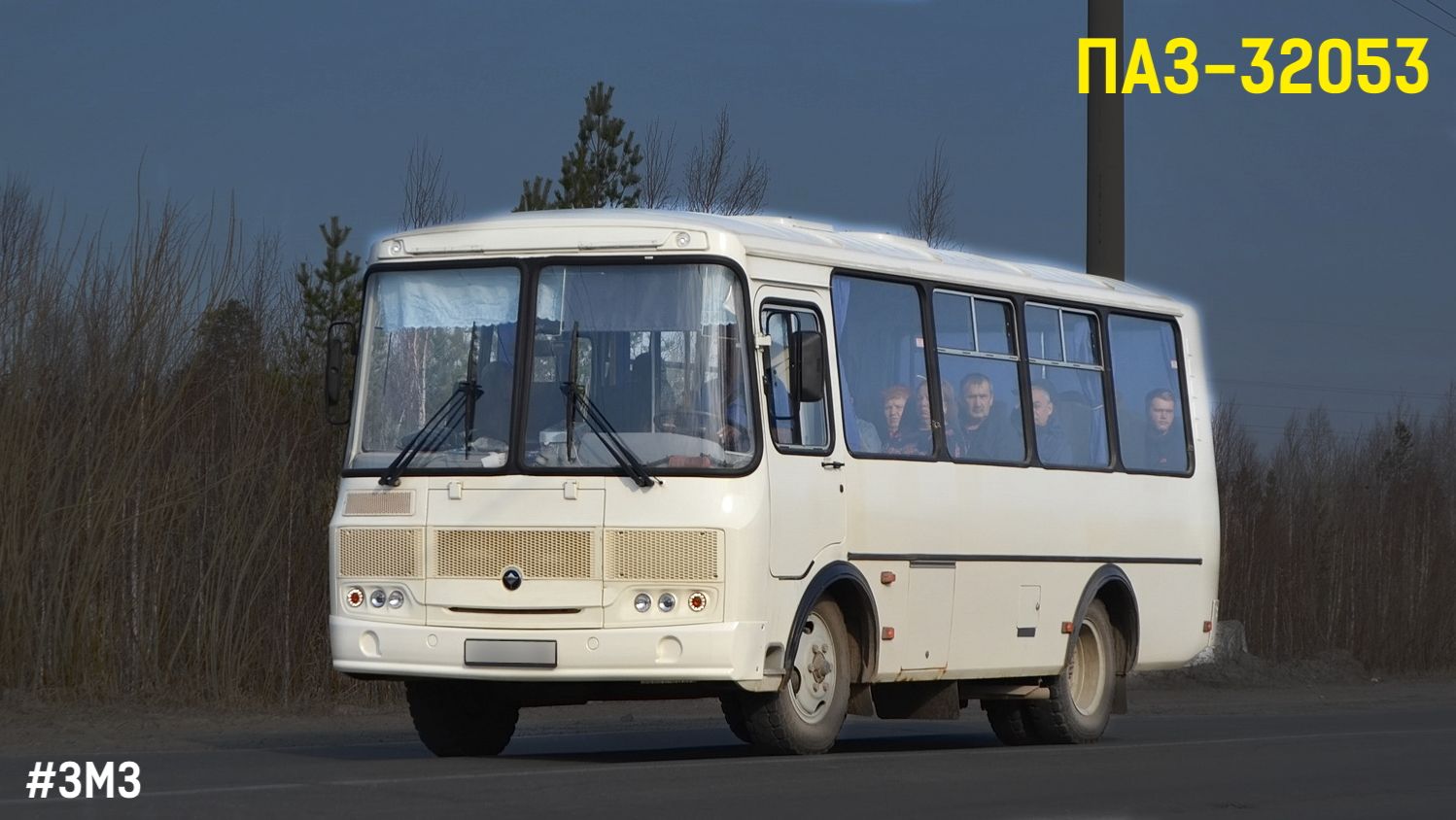 Автобусы