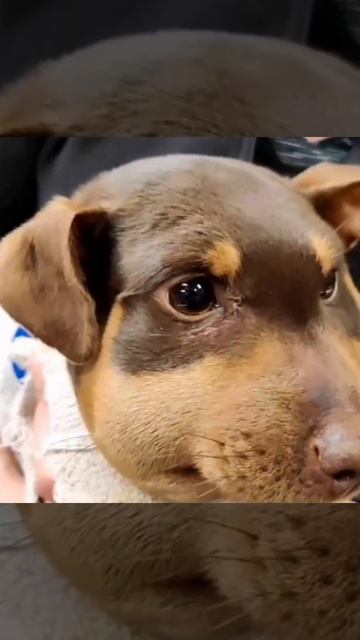 Я не смогу записывать видео в ближайшее время 😣