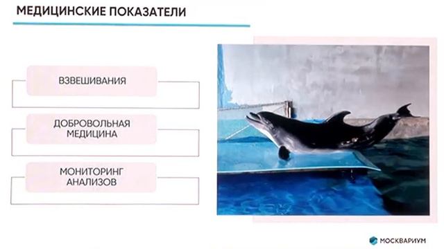 Комплексный подход к решению проблемы регургитации у тихоокеанских афалинКазеннова Юлия Николаевна,