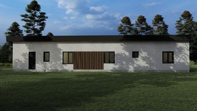 СТС Флэт Уайт