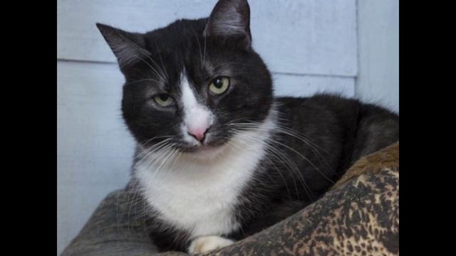 ВАЛЬС-ГРОТЕСК "С ДОБРЫМ УТРОМ" - Александр Виницкий. Ноты: avinitsky1@mail.ru