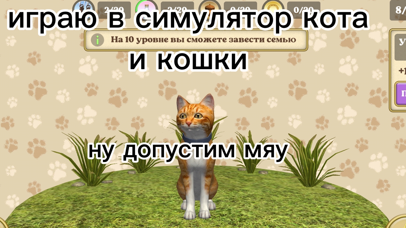 ИГРАЮ В СИМУЛЯТОР КОТА И КОШКИ #1 IVASHKINTV PLAYING.