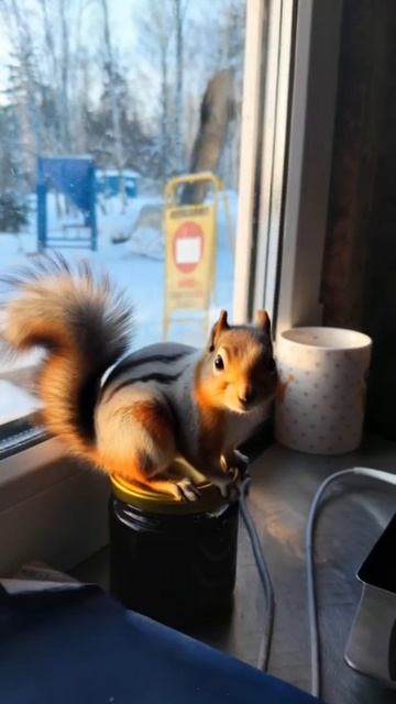 Когда у Борьки не получается