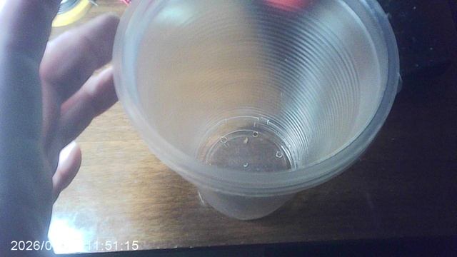 Обзор конструкции составного горшочка для кабачковой рассады