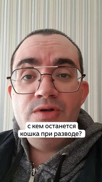 Горячий вопрос юристу: как делить домашних животных бывшим супругам?