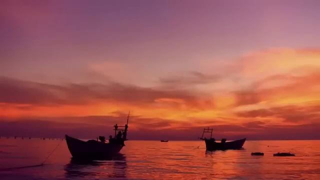 Ошо. Слушать разум или сердце. Всё зависит от тебя самого