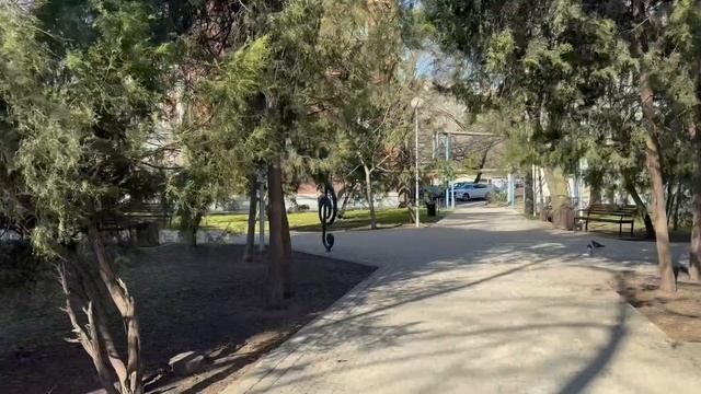 Отправляю вам весну и благодарю своих подписчиков | Результаты намеченной стратегии радуют| Сквер