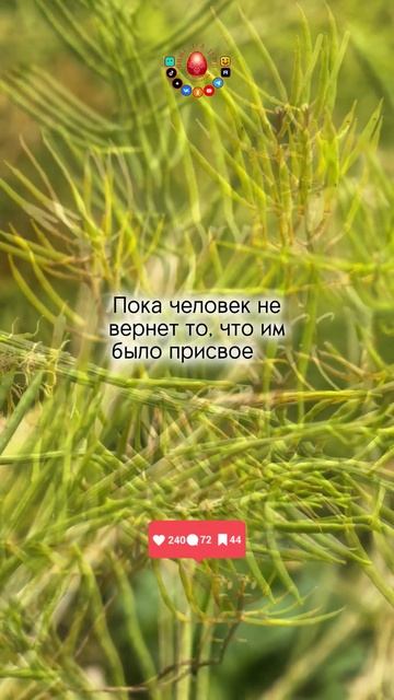 Этот грех искупить можно только так...