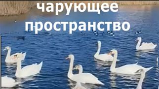 чарующее пространство