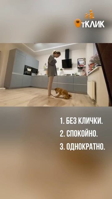 Три простых правила подачи голосовой команды 🤓