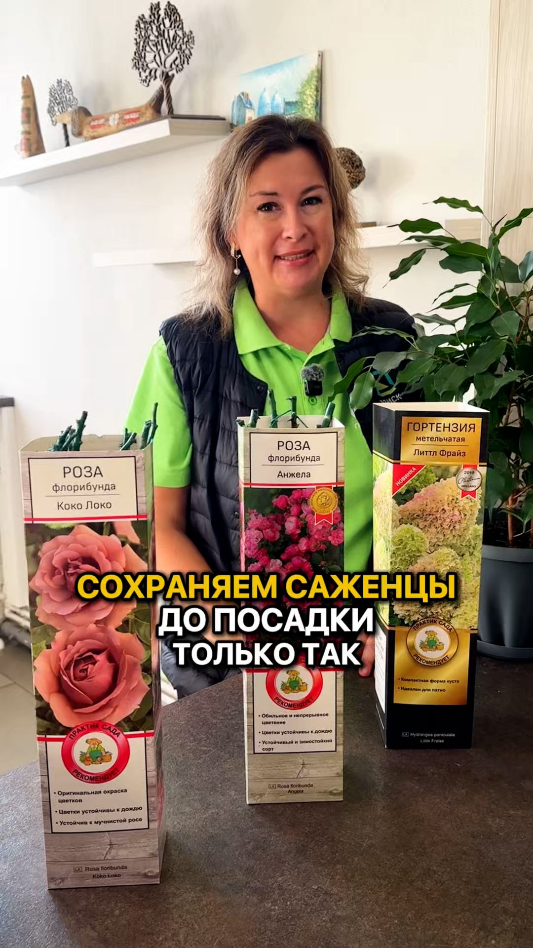 Как сохранить саженцы роз и гортензий до посадки?