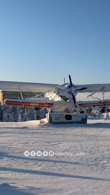 Не пора ли в отпуск? 🎉✈️ #ан2 #самолеты #полярный