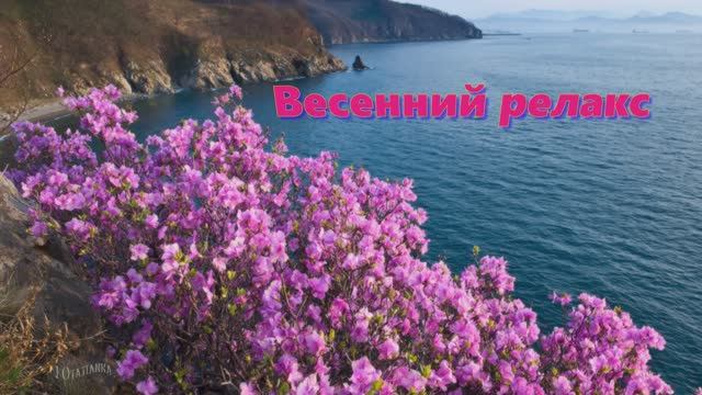 Весенний релакс! С весной Вас!🌸🌸🌸