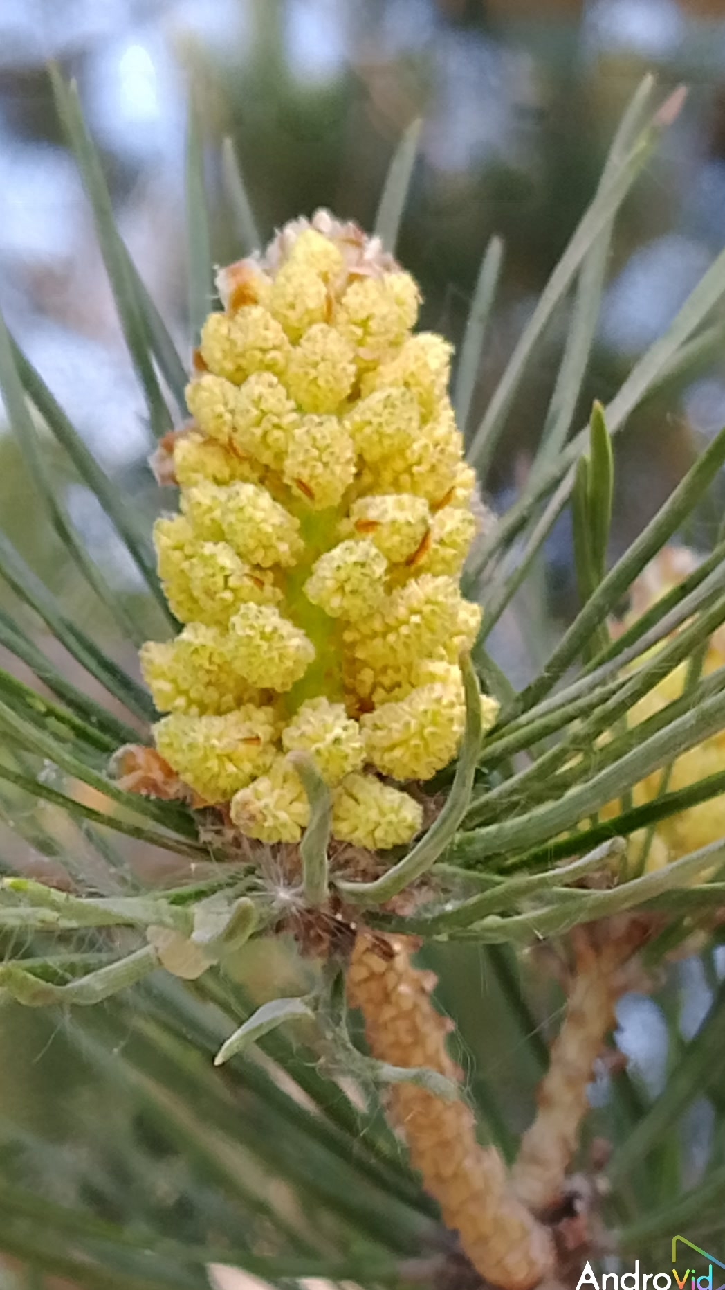 За всё тебя благодарим, Боже!🙏 10-03-2026