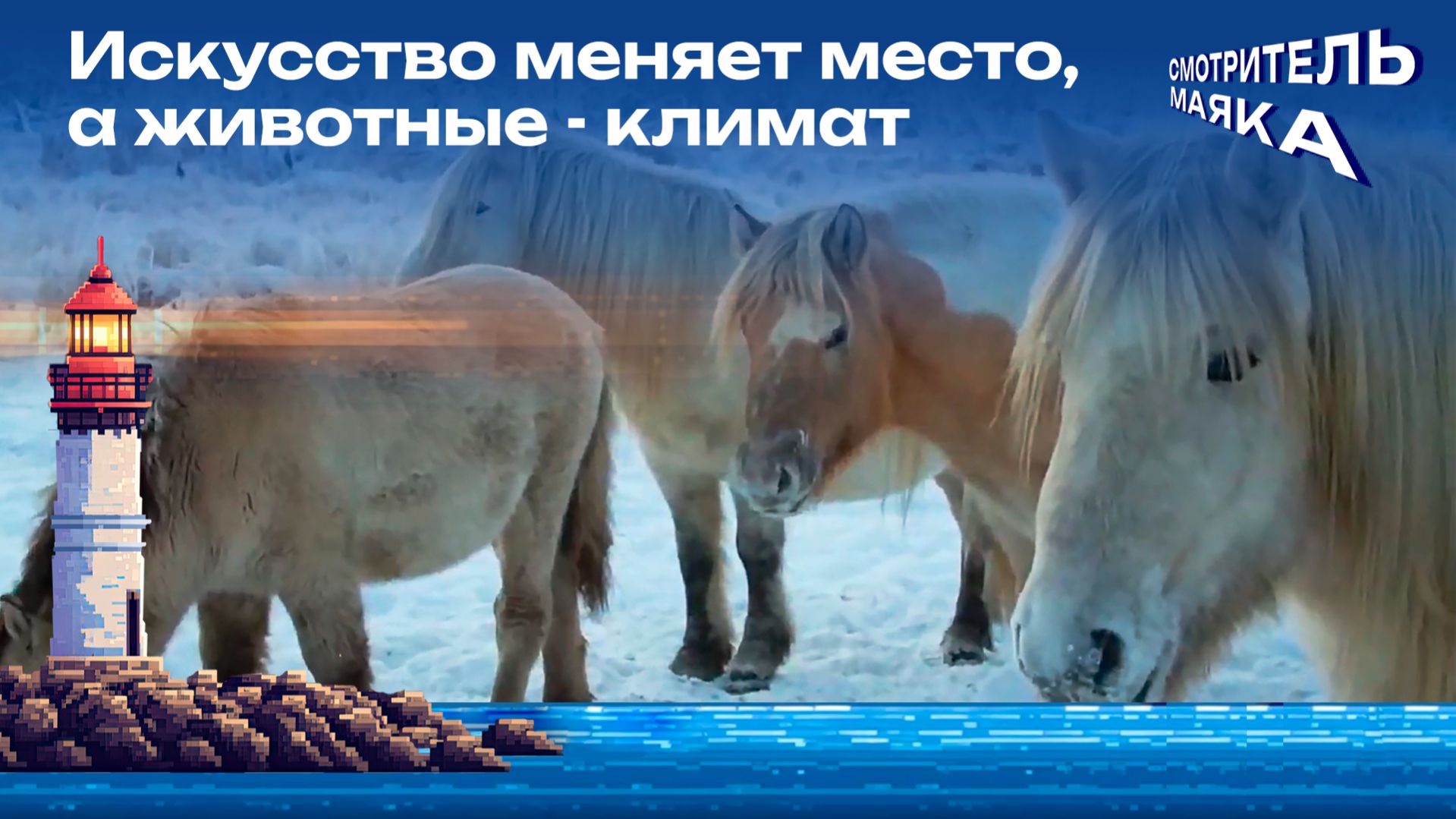 Искусство меняет место, а животные - климат | Смотритель маяка с Романом Маякиным