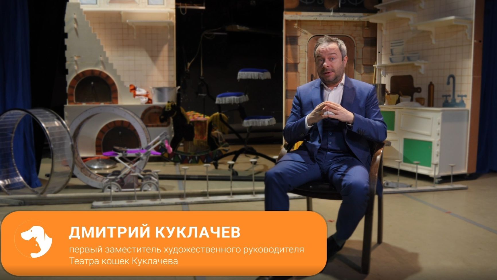 Новые театральные роли кошек из Донбасса